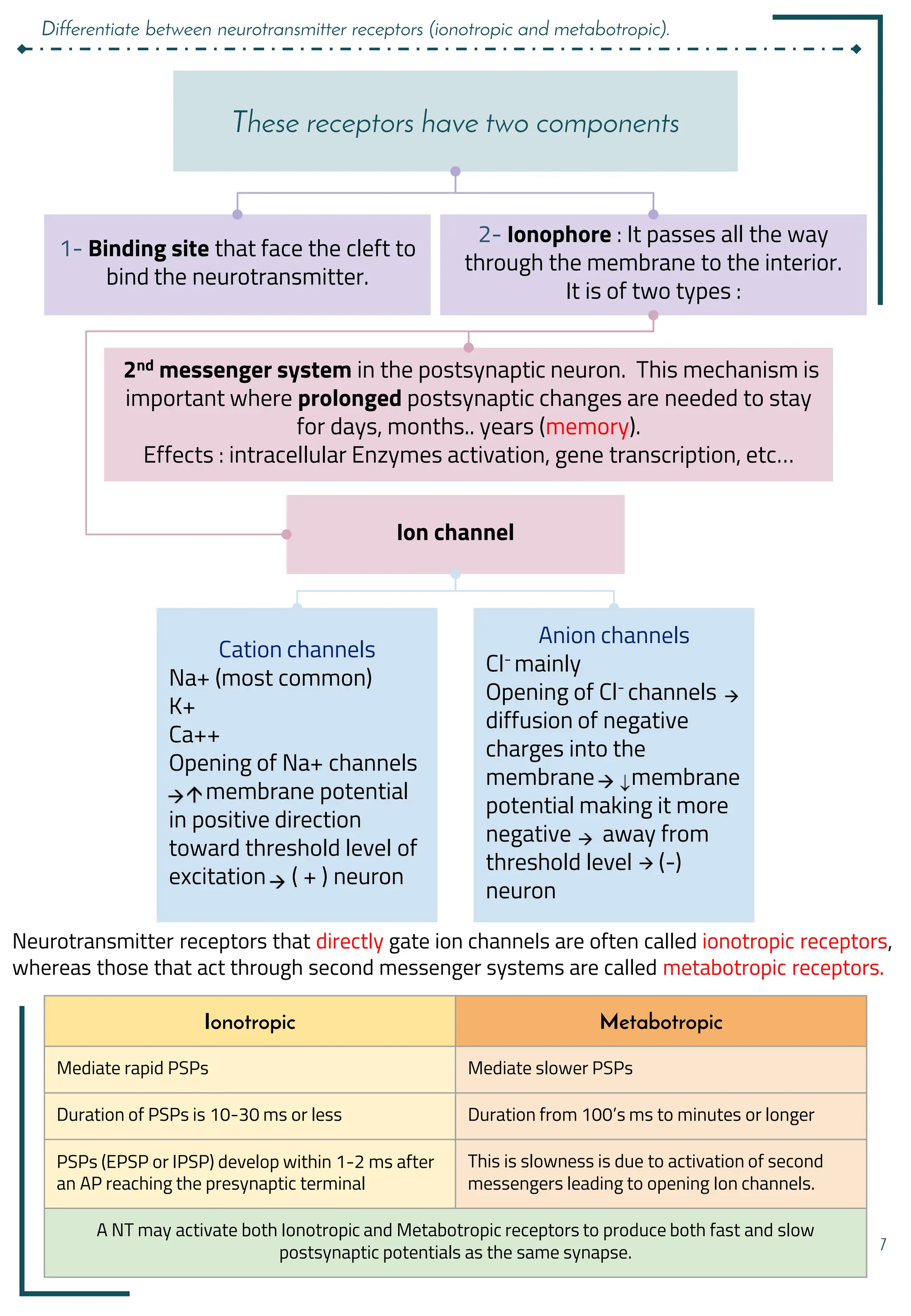 1- Synapses & synaptic transmission(Updated)(0).pdf