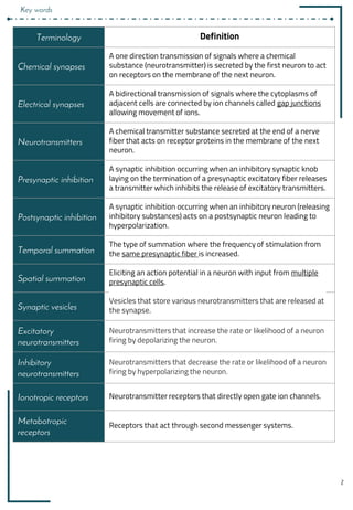 1- Synapses & synaptic transmission(Updated)(0).pdf