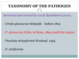 Historical Overview of Stripe Rust Research | PPT
