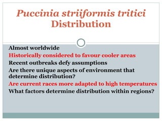 Historical Overview of Stripe Rust Research | PPT