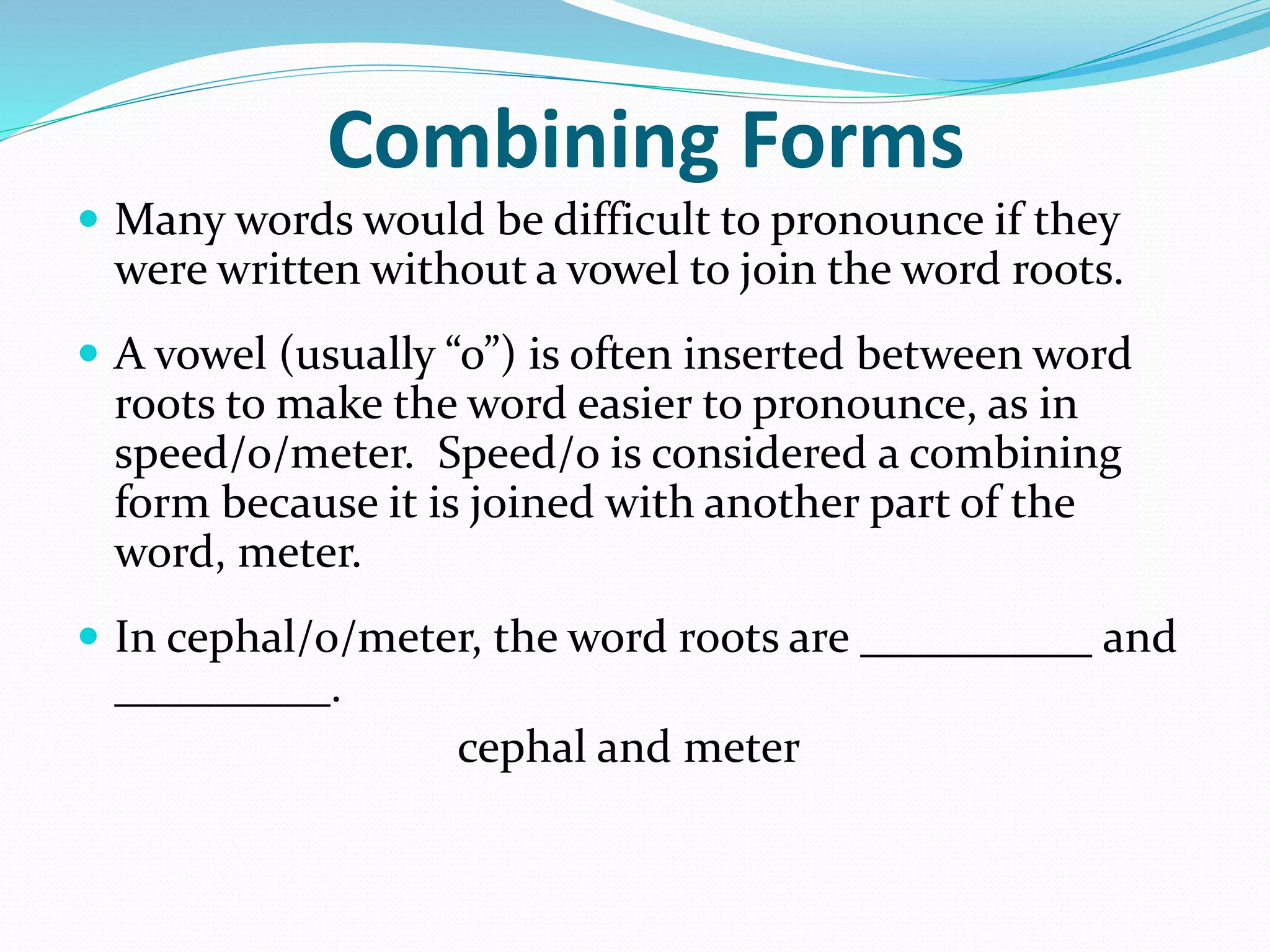 Terminology Basics | PPTX