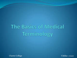 Terminology Basics | PPTX