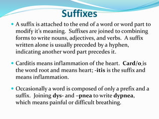 Terminology Basics | PPTX