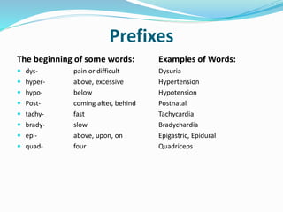 Terminology Basics | PPTX