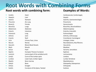 Terminology Basics | PPTX