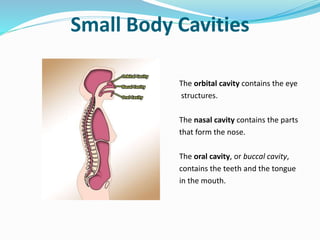 Terminology Basics | PPTX