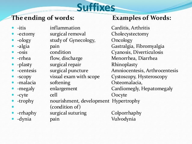 Terminology Basics Terminology Basics