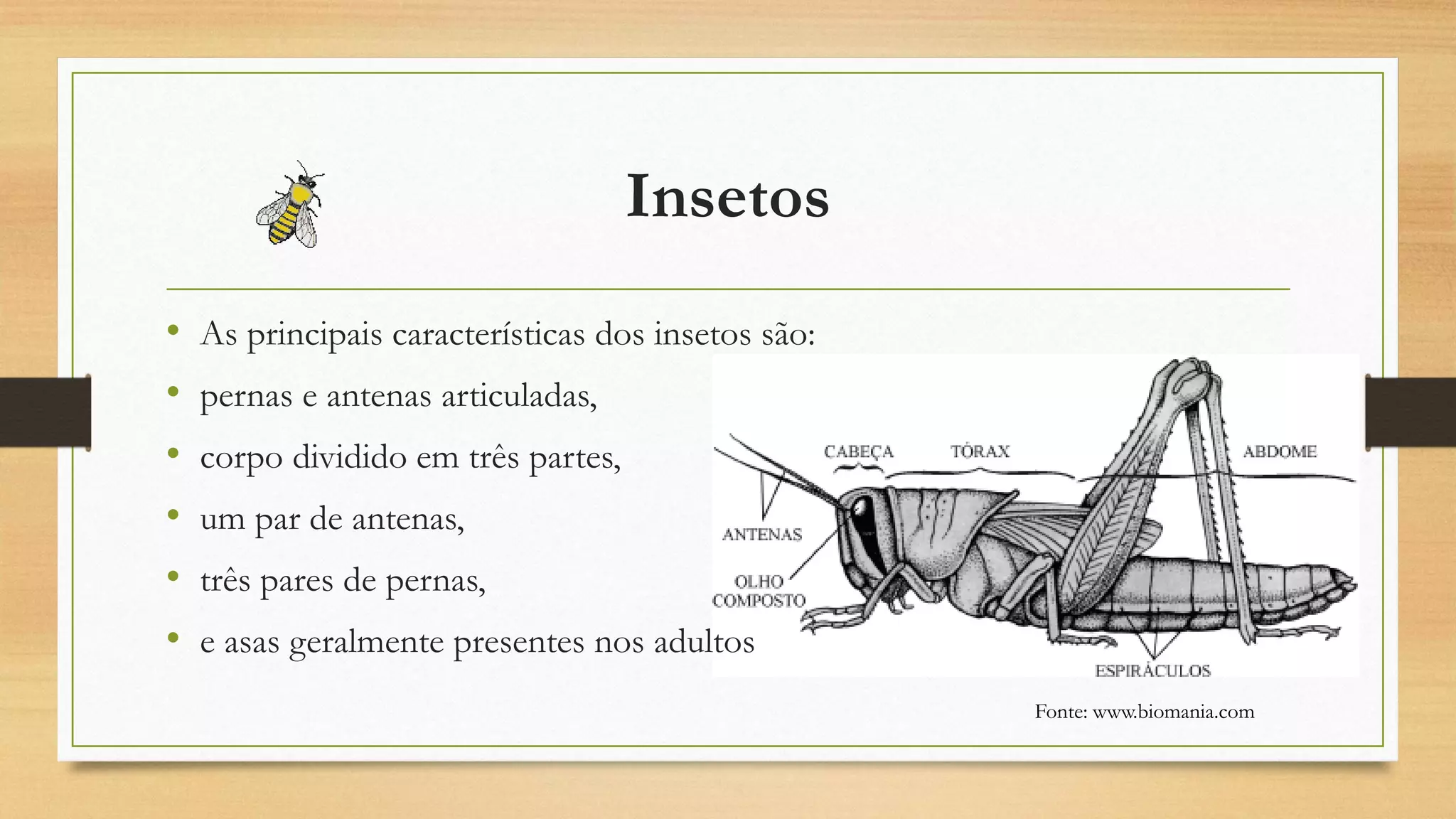 Taxonomia, morfologia e sistemática de insetos-pragas | PDF