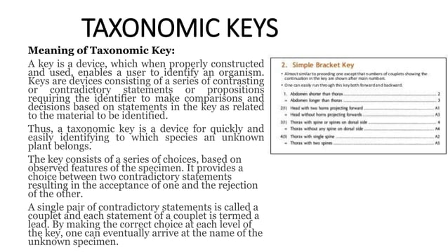 1-TAXONOMIC KEYS of Immature Insects step by step | PDF | Operating ...