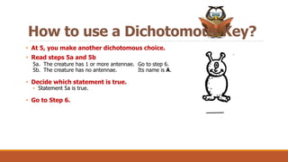 1-TAXONOMIC KEYS of Immature Insects step by step | PDF