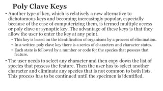 1-TAXONOMIC KEYS of Immature Insects step by step | PDF