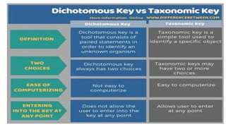 1-TAXONOMIC KEYS of Immature Insects step by step | PDF