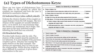 1-TAXONOMIC KEYS of Immature Insects step by step | PDF