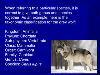 1 taxonomy intro[1][1] | PPT
