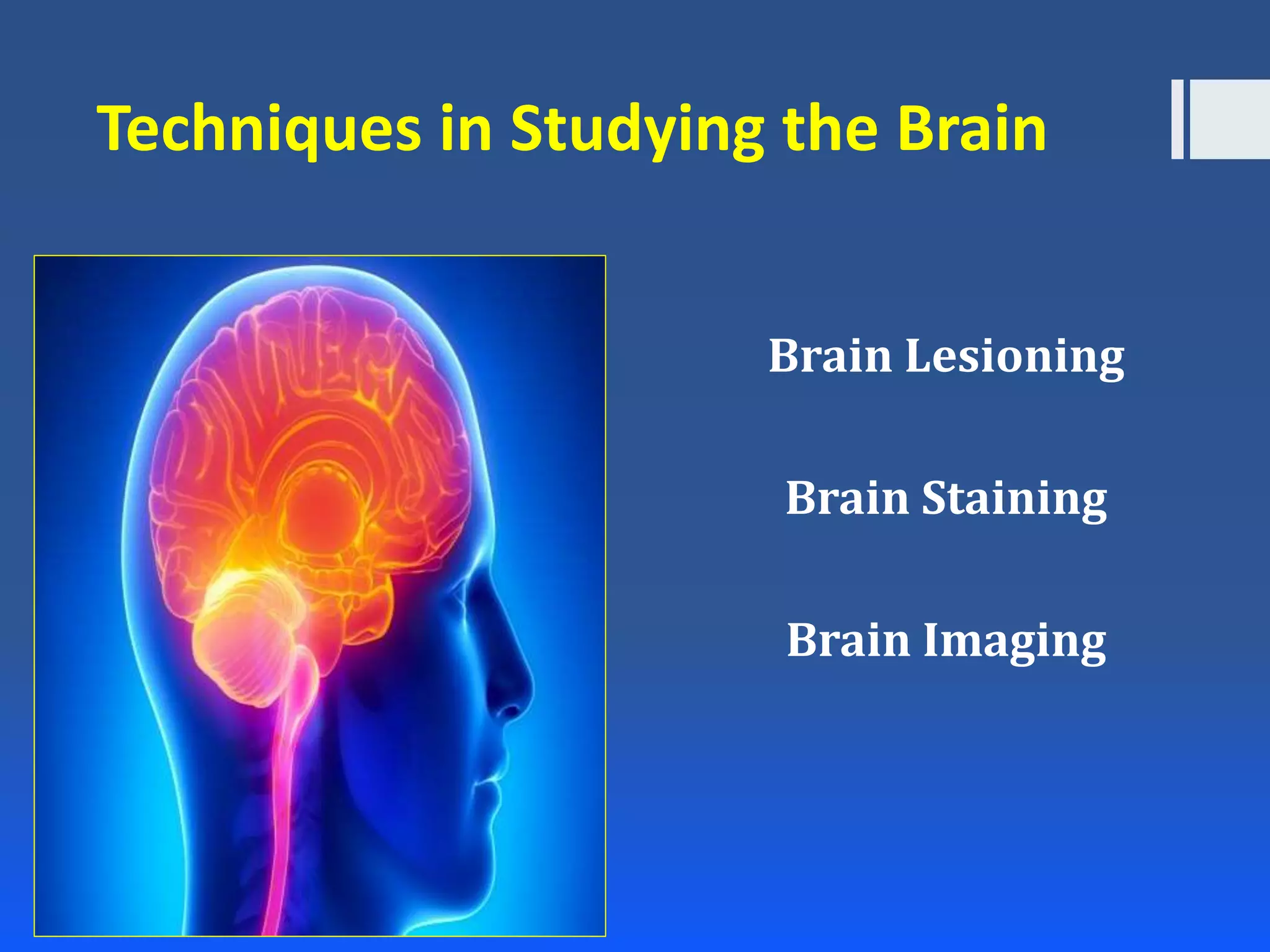Techniques in measuring Brain Function | PPTX