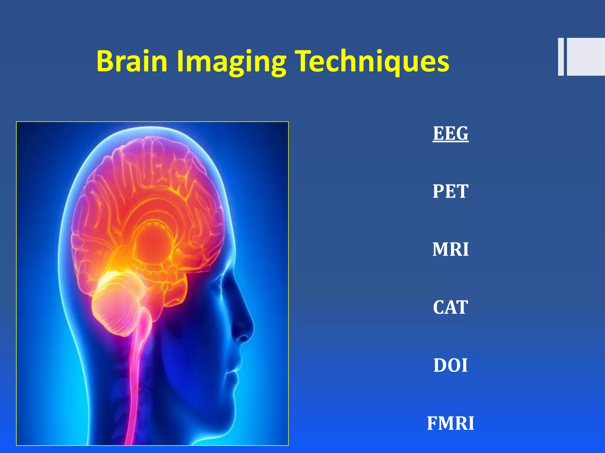 Techniques in measuring Brain Function | PPTX