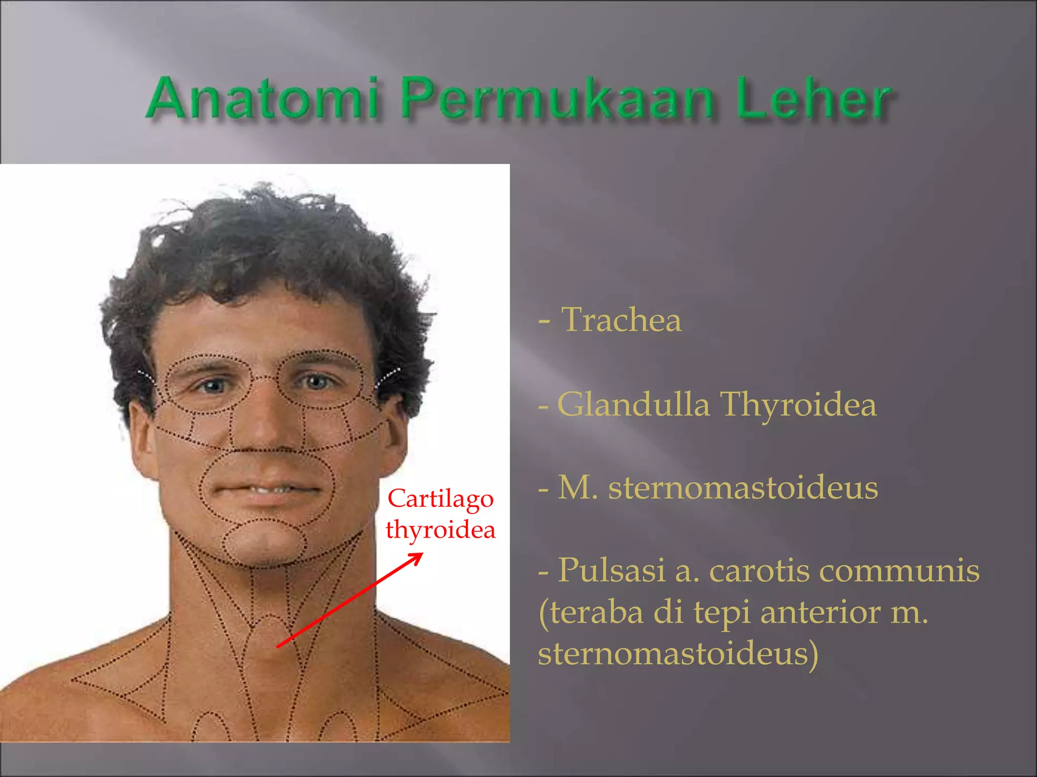 1-Terminologi Anatomi.ppt