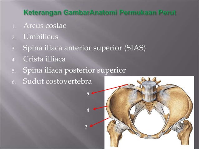 1-Terminologi Anatomi.ppt