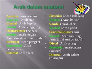1-Terminologi Anatomi.ppt