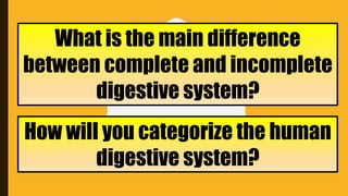 1-The-Human-Digestive-System.-8 digestive system | PDF