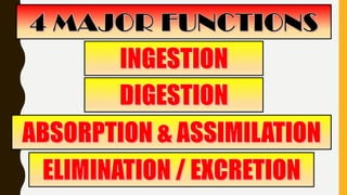 1-The-Human-Digestive-System.-8 digestive system | PDF