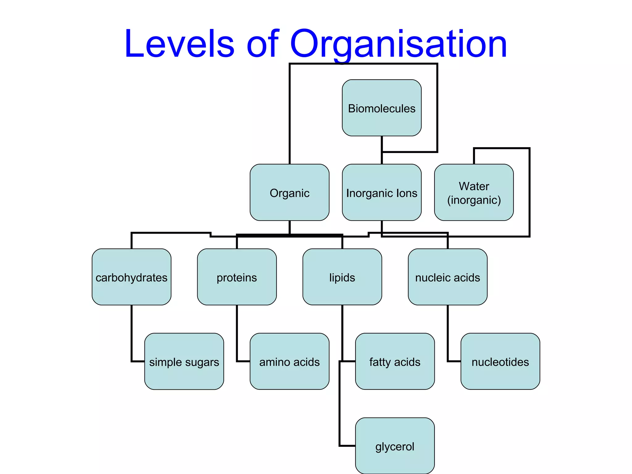 1 - The Chemical Nature of Cells | PPT