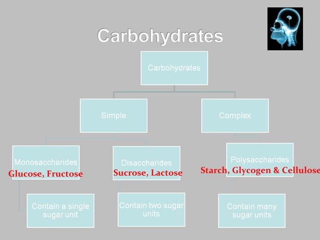 1 - The Chemical Nature of Cells | PPT