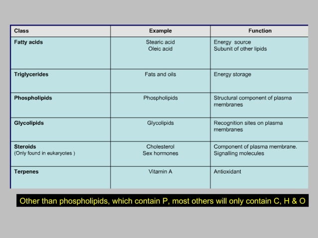 1 - The Chemical Nature of Cells | PPT