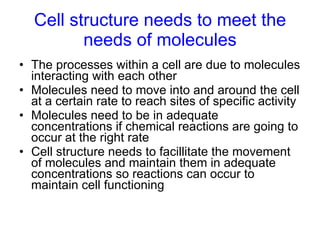 1 - The Chemical Nature of Cells | PPT