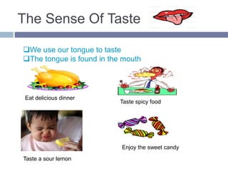 1 the five senses | PPTX