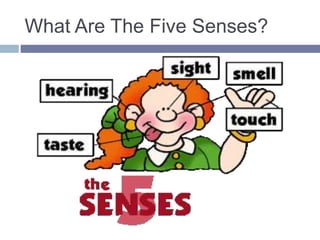 1 the five senses | PPTX