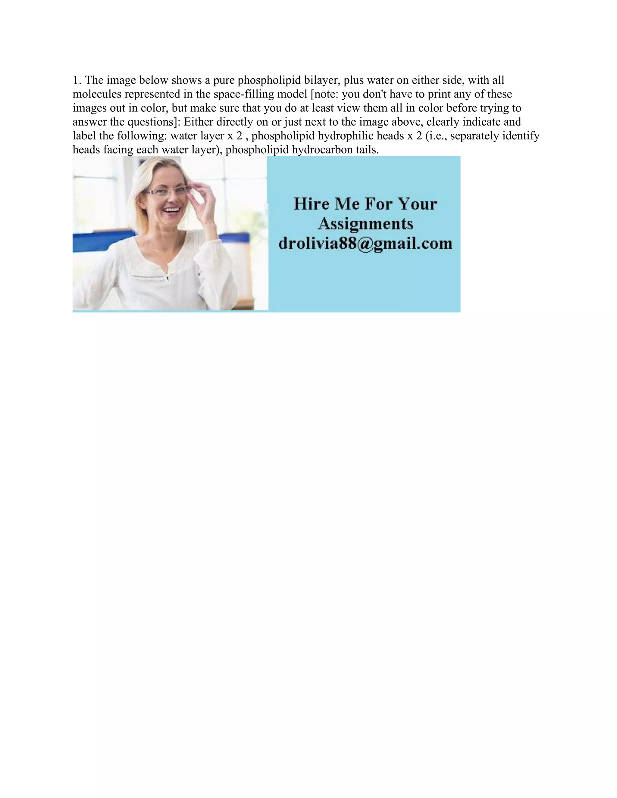 1- The image below shows a pure phospholipid bilayer- plus water on ei.pdf