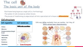 Introduction of physiology-1 | PPTX