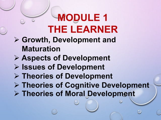 1-THE LEARNER.pptx