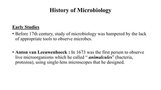 The Microbial World | PPTX