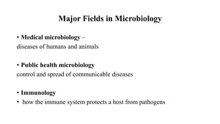 The Microbial World | PPTX