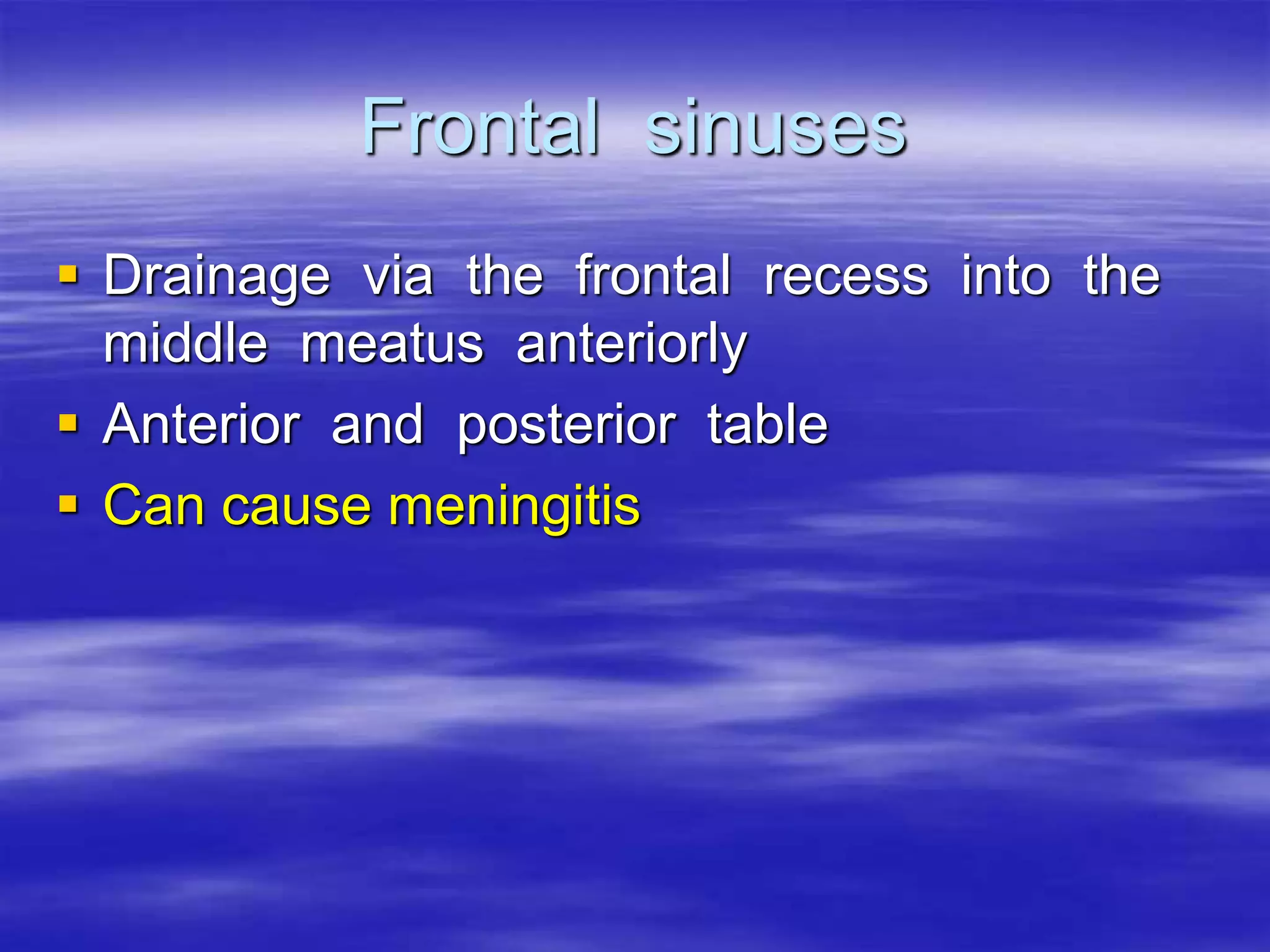 The Nose and Paranasal Sinuses | PPT