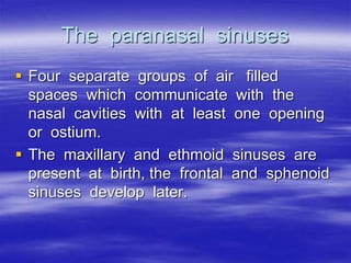 The Nose and Paranasal Sinuses | PPT