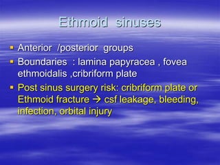 The Nose and Paranasal Sinuses | PPT