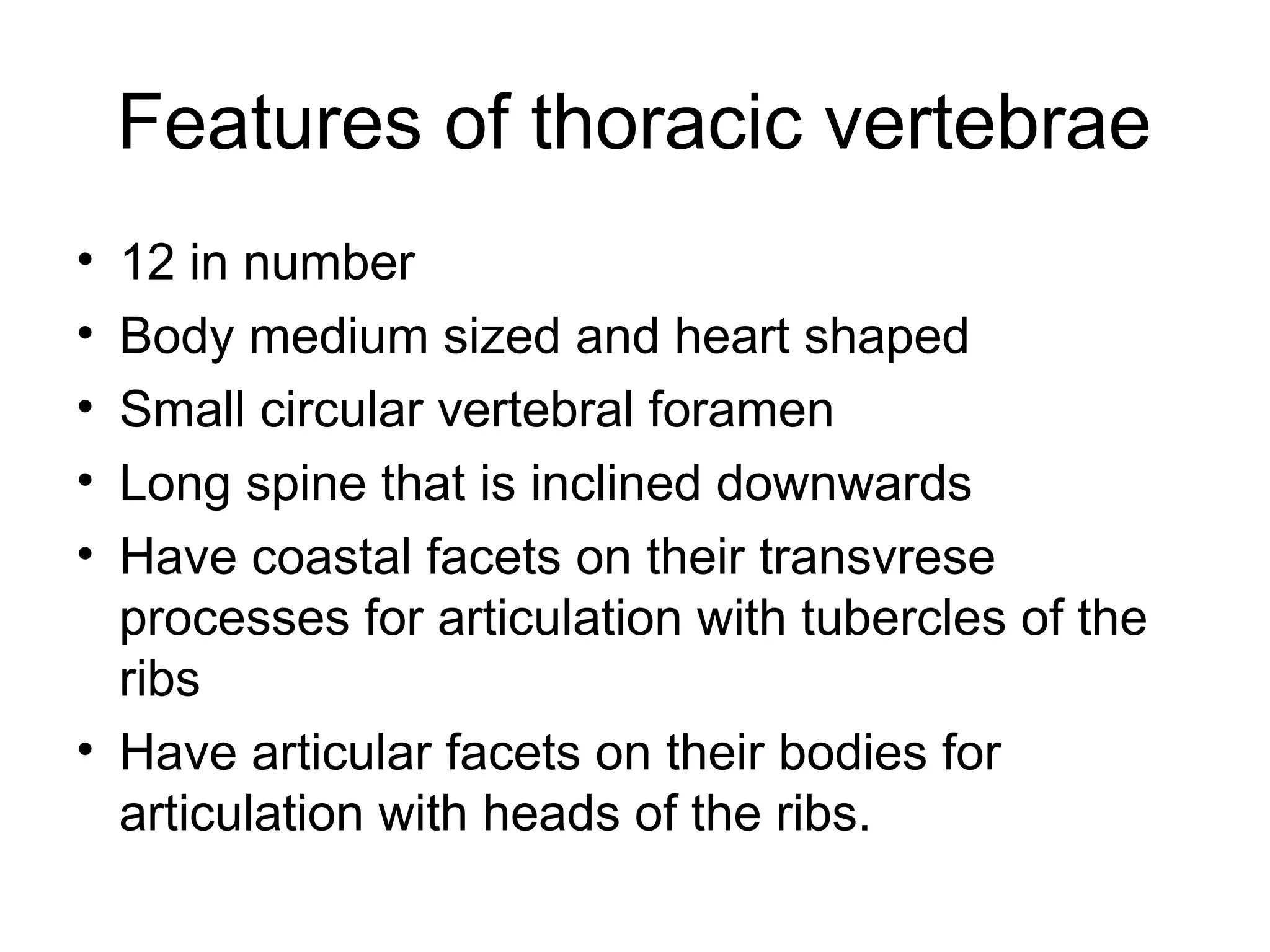 THE RIB CAGE-ANATOMY OF THE HUMAN BODY. DEPARTMENT OF ANATOMY | PPT