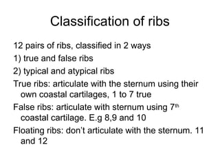 THE RIB CAGE-ANATOMY OF THE HUMAN BODY. DEPARTMENT OF ANATOMY | PPT