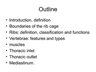 THE RIB CAGE-ANATOMY OF THE HUMAN BODY. DEPARTMENT OF ANATOMY | PPT