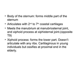 THE RIB CAGE-ANATOMY OF THE HUMAN BODY. DEPARTMENT OF ANATOMY | PPT
