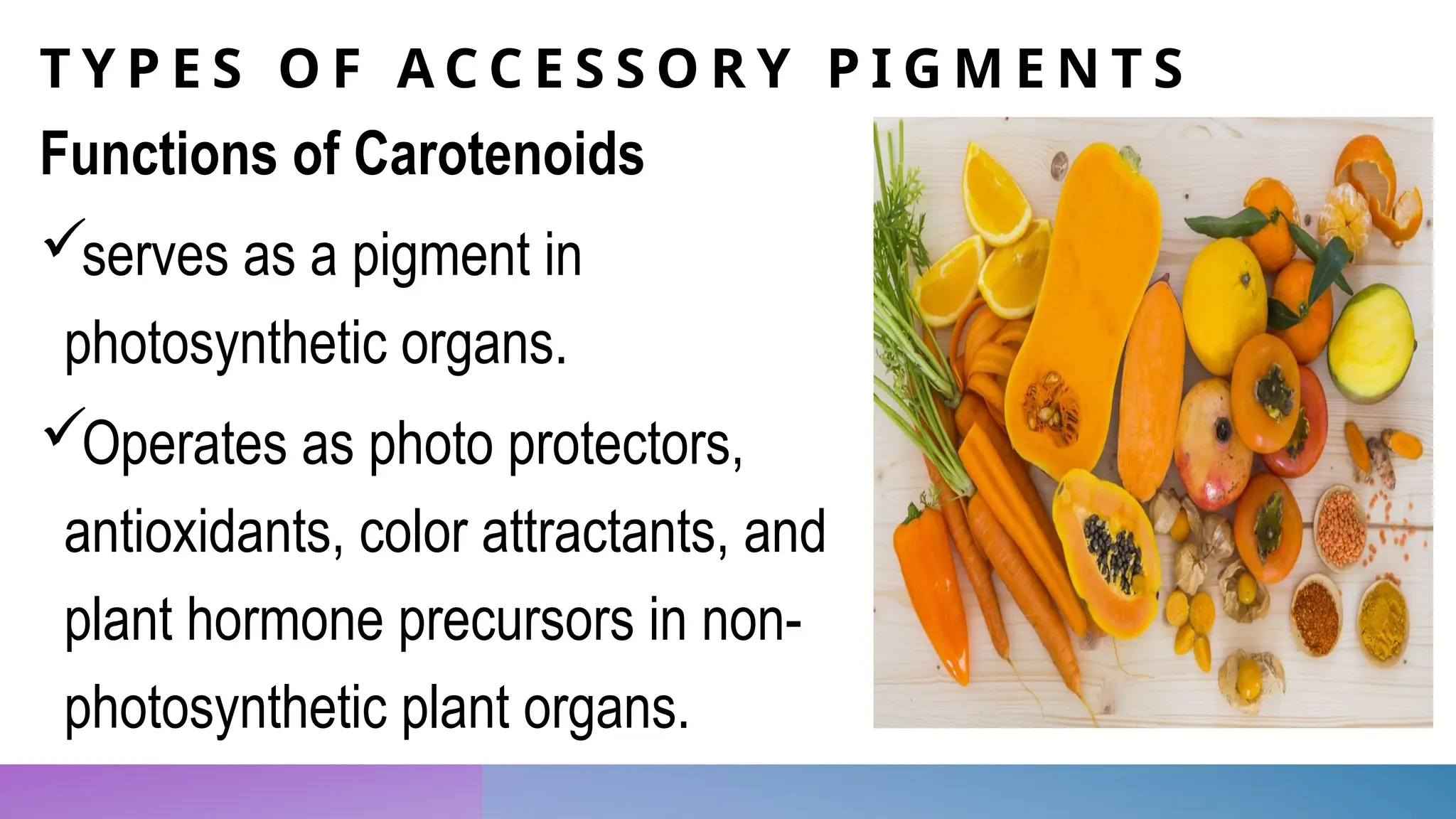 1-The Role of Atp and the Importance of Plant Pigments.pptx