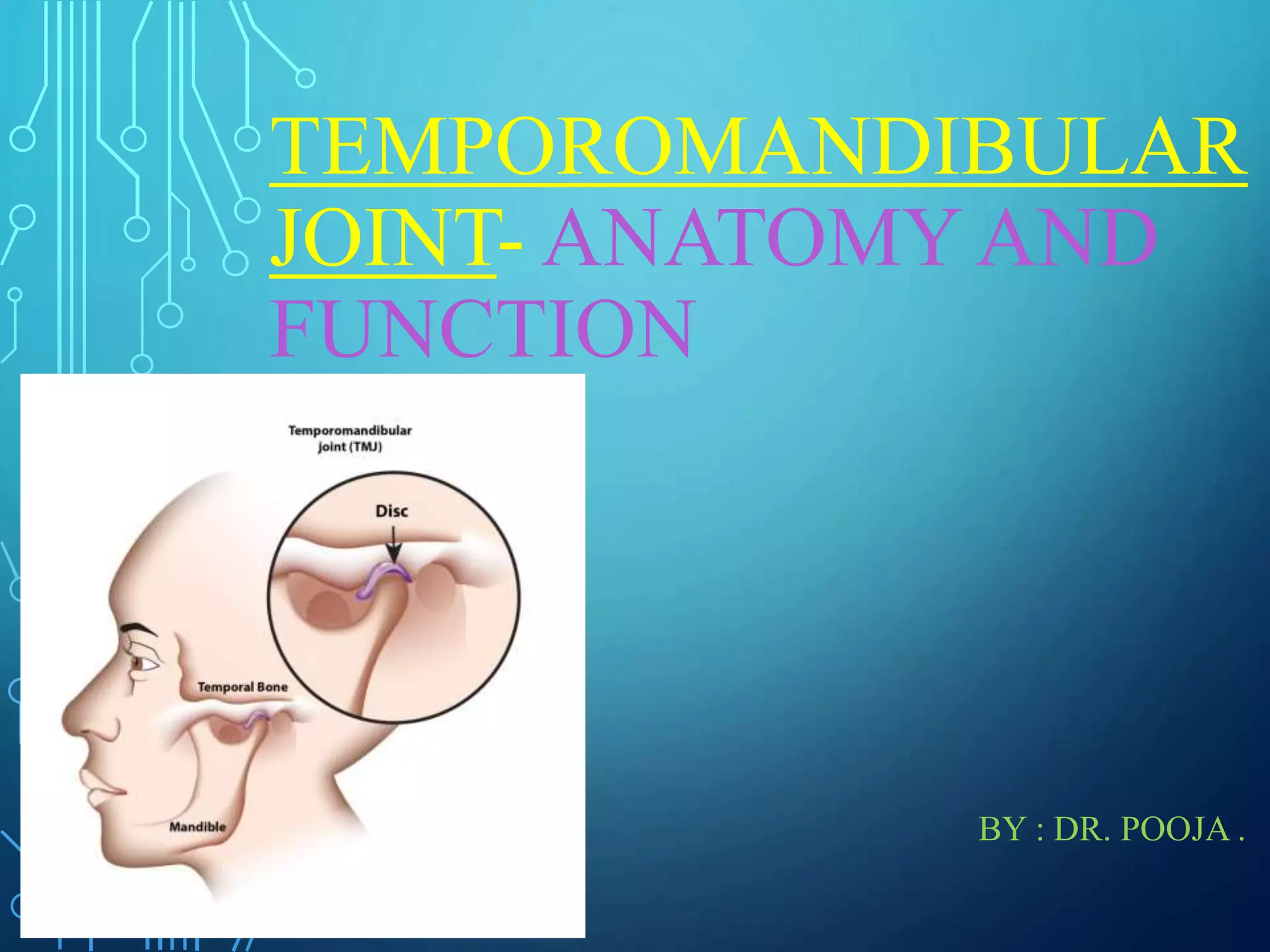 Temporomandibular joint anatomy and function | PPTX
