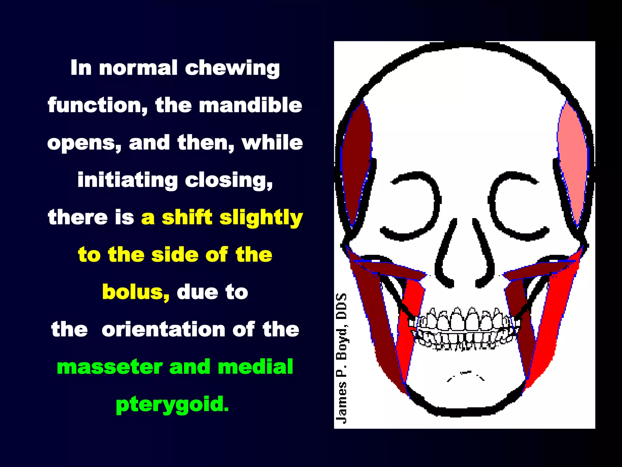 Mandibular movements | PPT