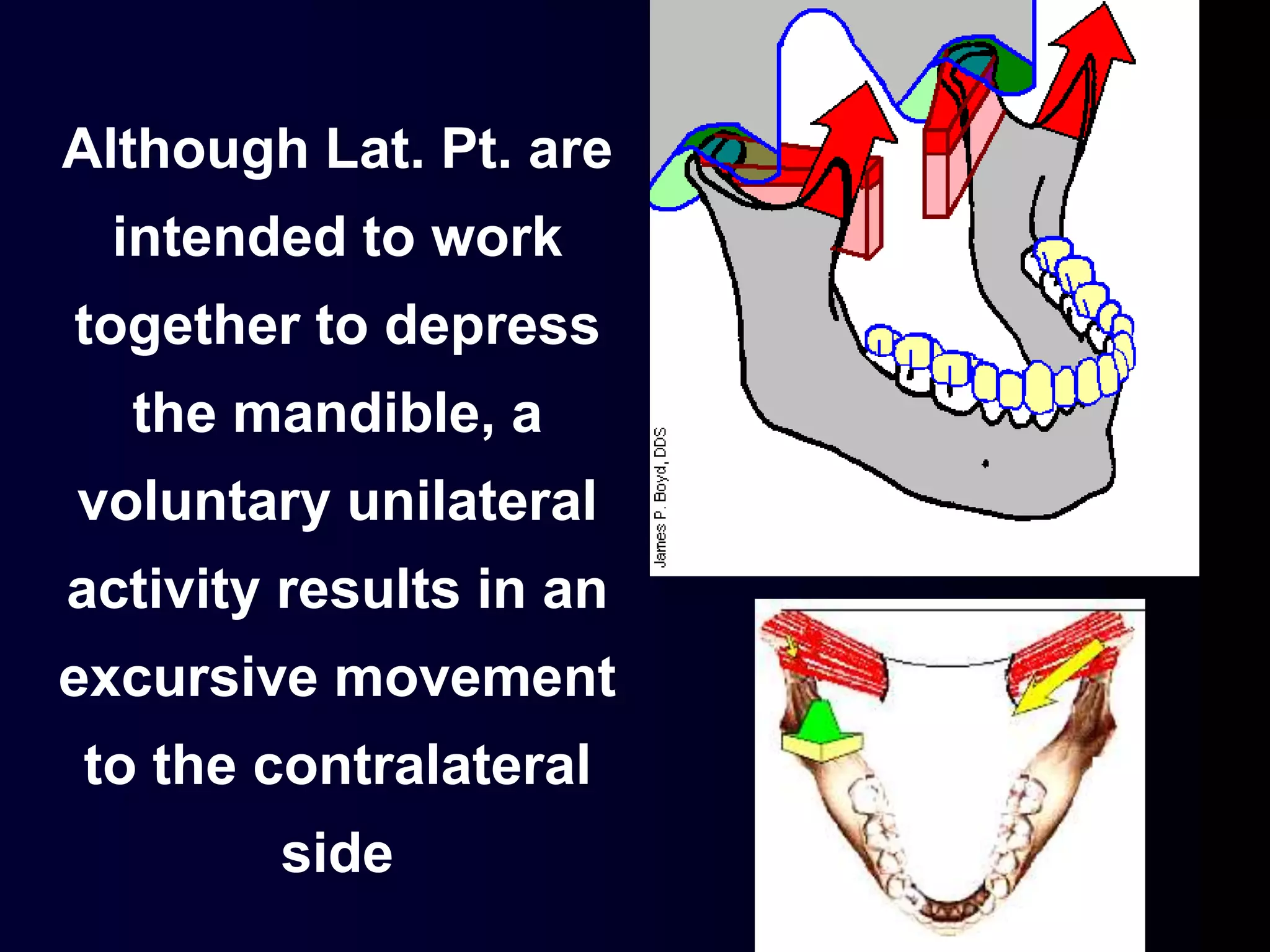 Mandibular movements | PPT
