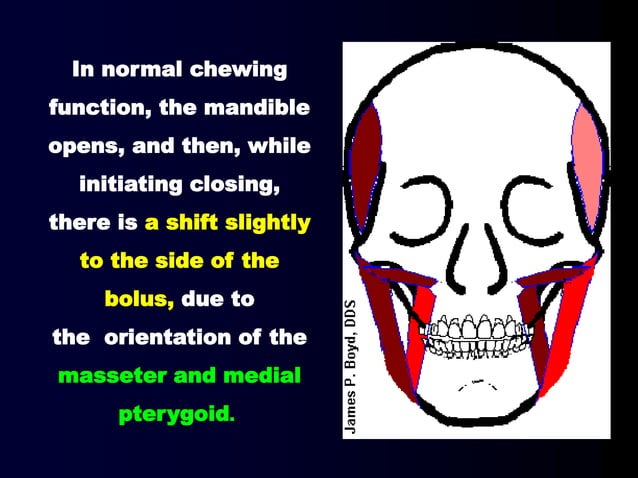 Mandibular movements | PPT | Dental Health | Diseases and Conditions