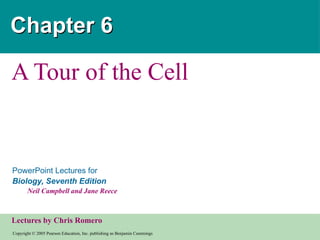 1-Tour-of-the-Cell.pptxbskkkqhsiinsjejje | PPTX