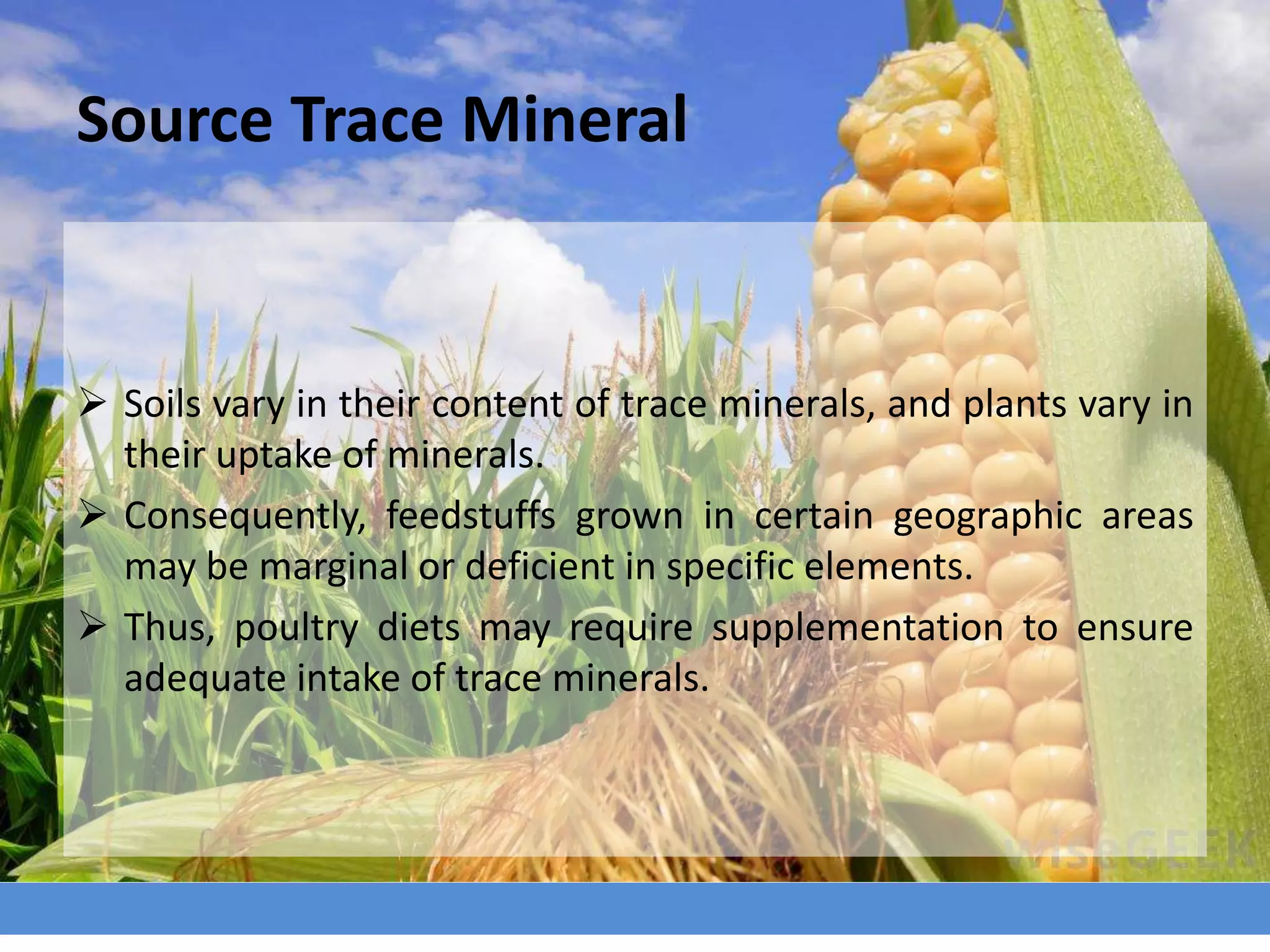 Trace_Minerals_In_Poultry | PPTX